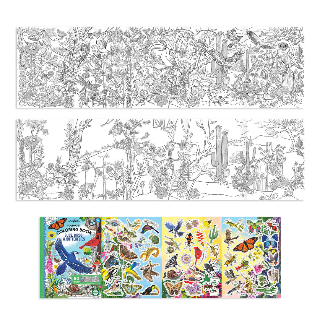 Fold-Out Coloring Book - Bugs, Birds, & Butterflies – CLUBHOUSE kid & craft