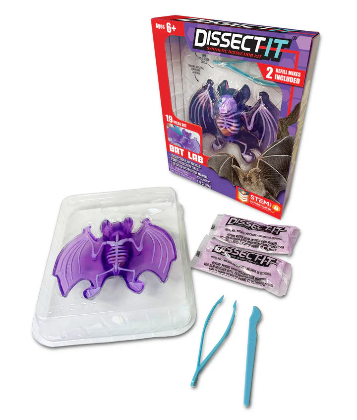 Dissect It | Bat Lab – CLUBHOUSE kid & craft